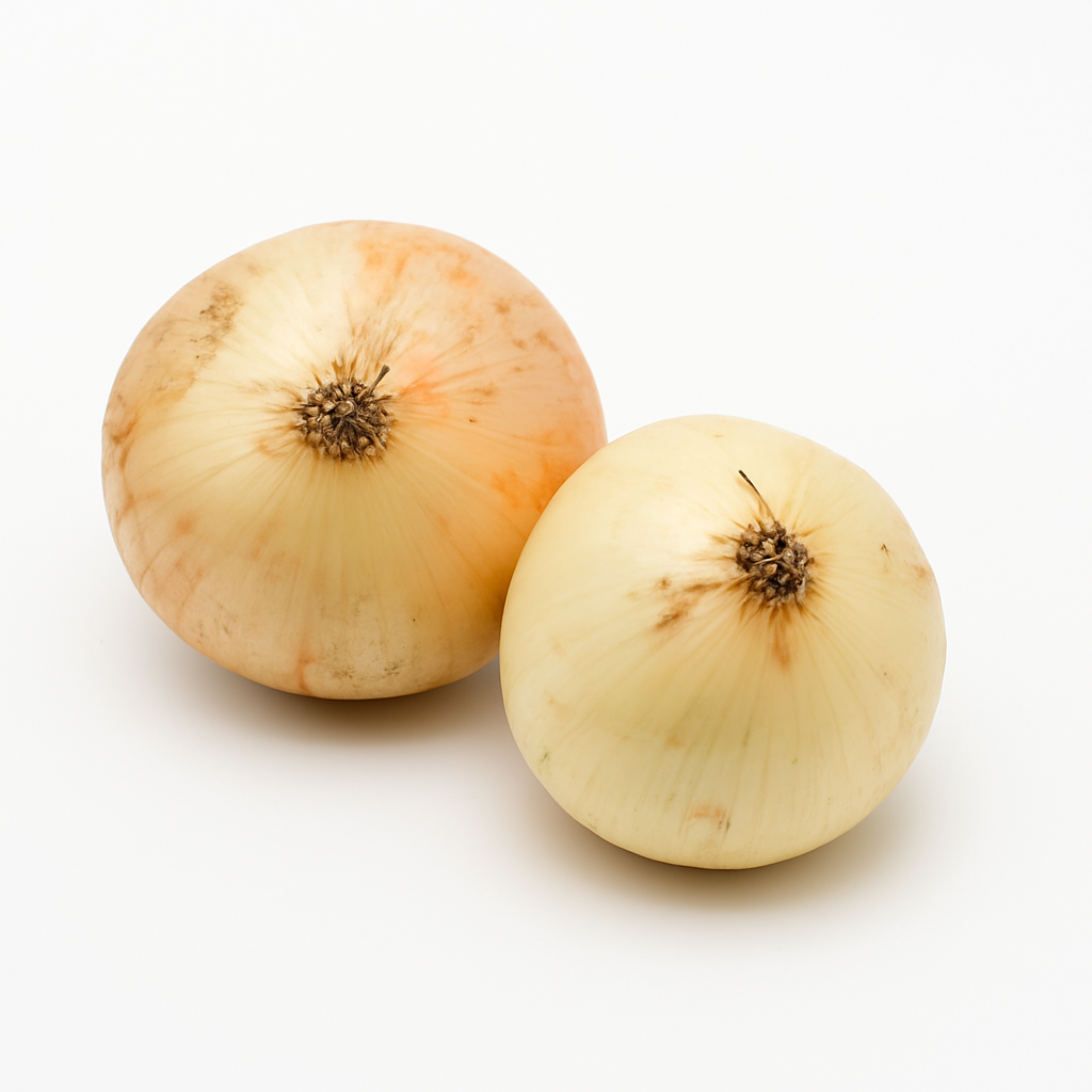 CEBOLLA NUEVA NORMAL – Frutisano